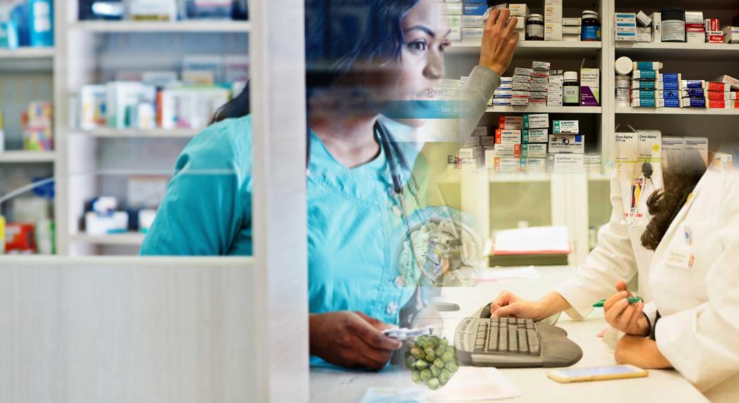 Silverscript Choice Part D Review - Not Recommended Online Pharmacy ...